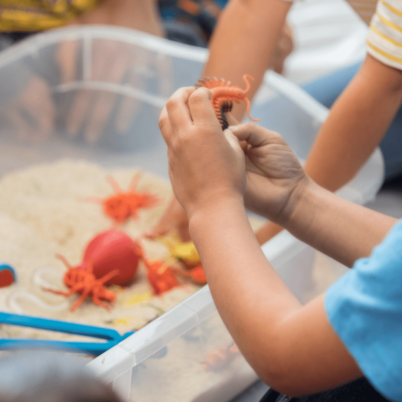 5 Therapy Activities to Do at Home for Parents of Special Needs ...